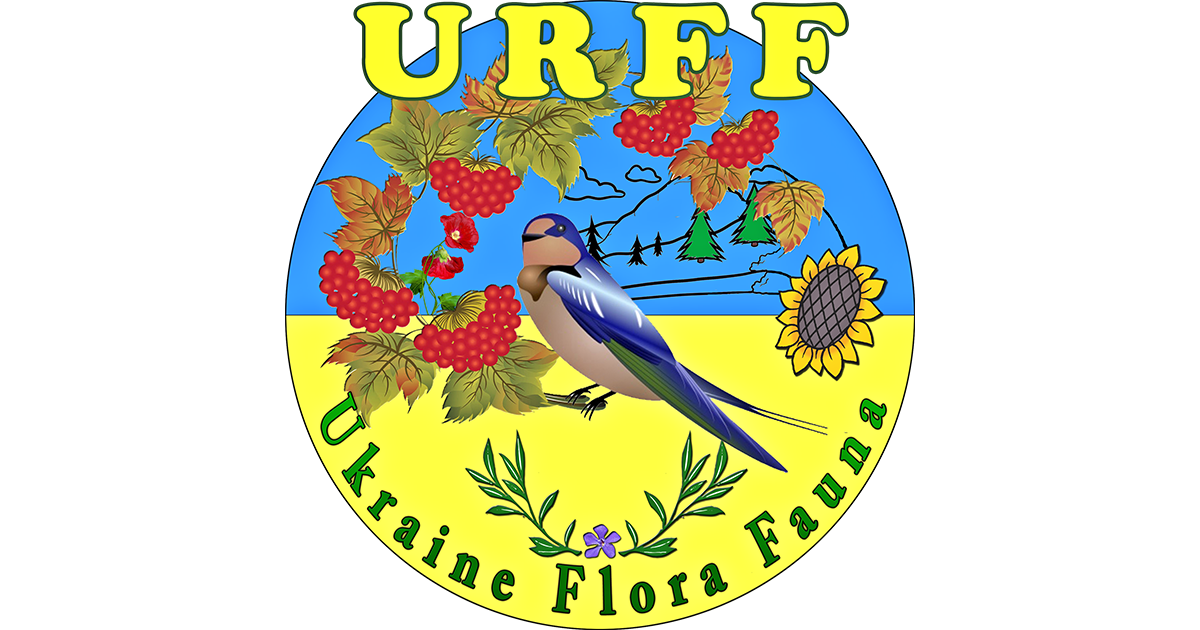 2017 Липень | urff.org.ua